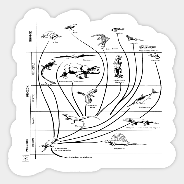 Dinosaur Evolution | Paleontology Prehistoric Science - Dinosaurs - Sticker | TeePublic